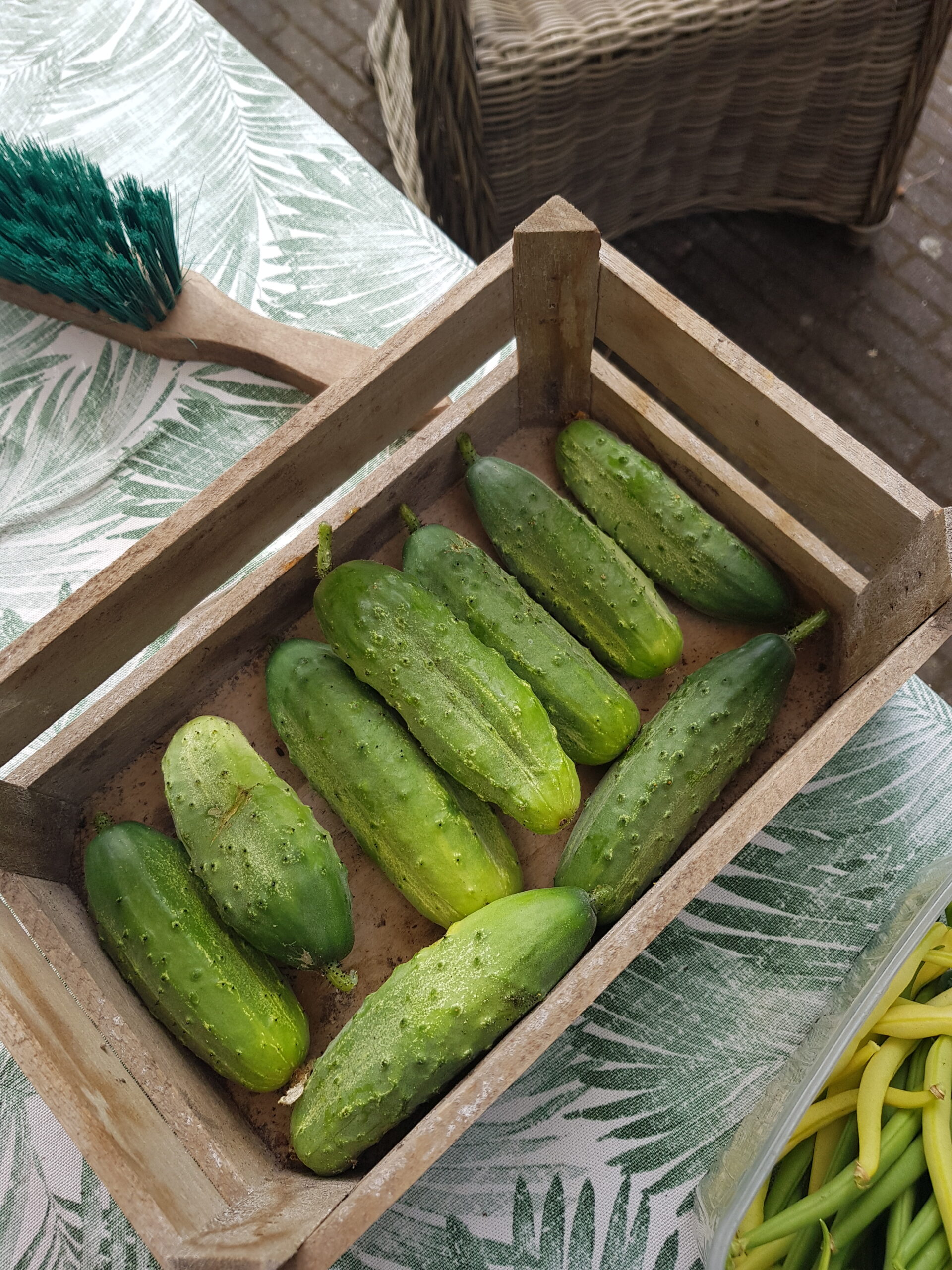 Augurken fermenteren – De Fermenteerfabriek