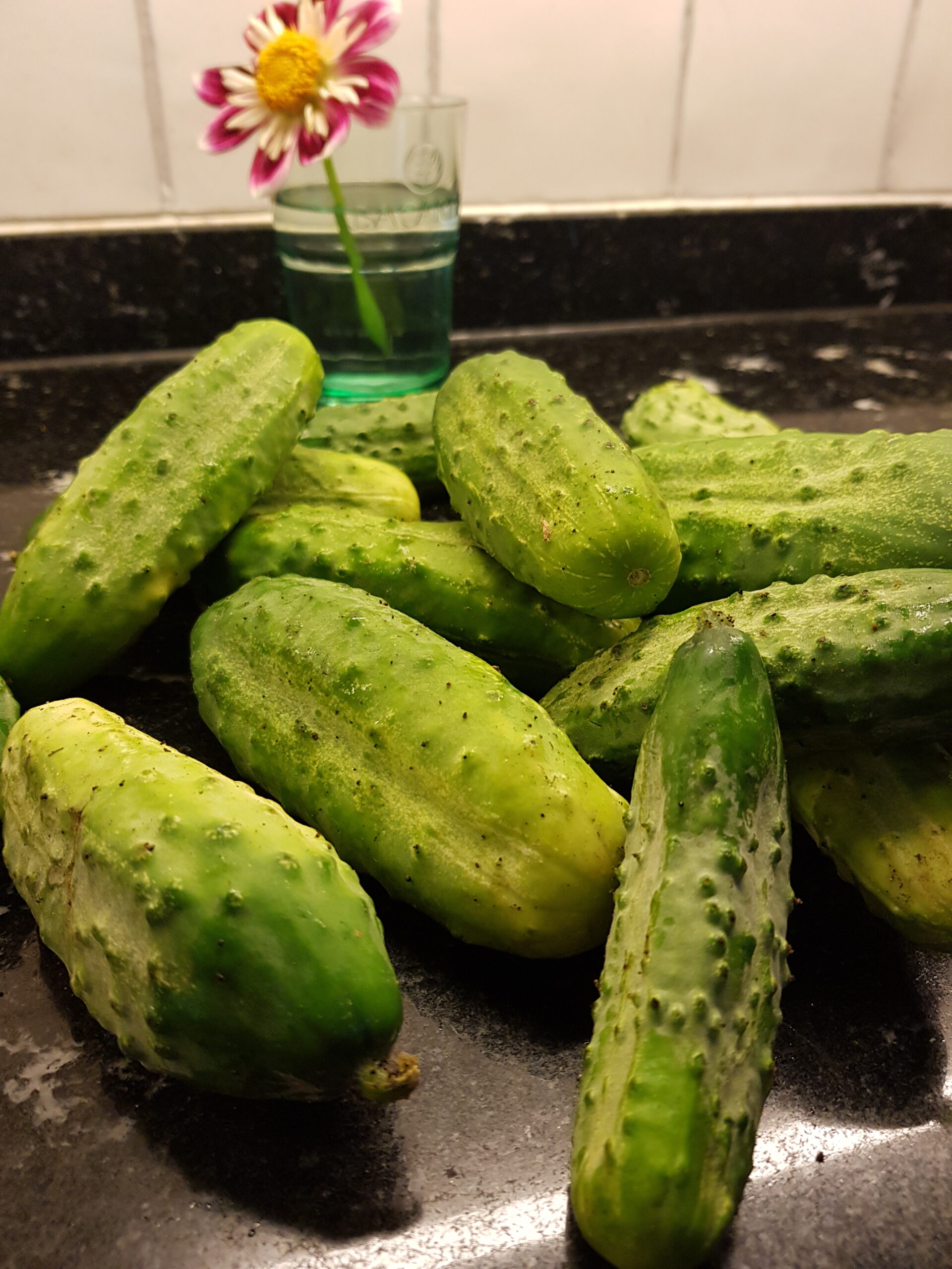 Augurken fermenteren – De Fermenteerfabriek