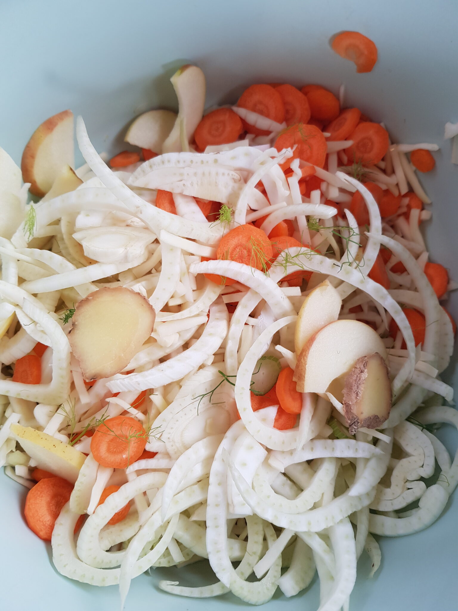 Recept venkel, witte kool, wortel fermenteren – De Fermenteerfabriek